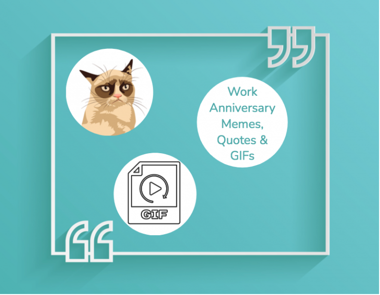 46 Grumpy Cat Approved Work Anniversary Memes, Quotes, & GIFs