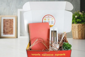 23 Best Work From Home Survival Kits For Remote Teams