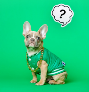 21 Best Online Group Games (Perfect For Large Teams)